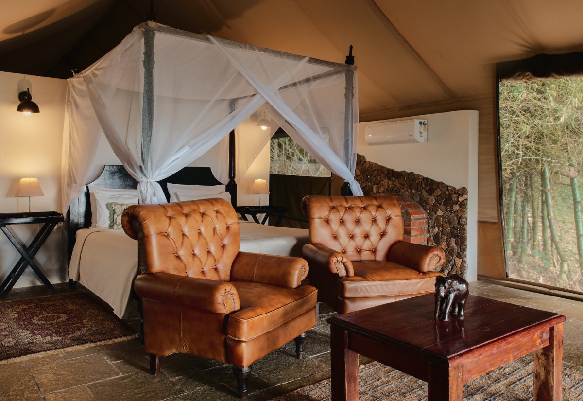 Accommodation - The Bison Resort